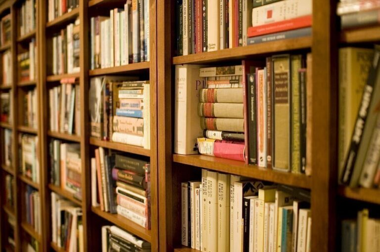 Year-End Book Review: Essential Reads from 2025 Highlighted ...